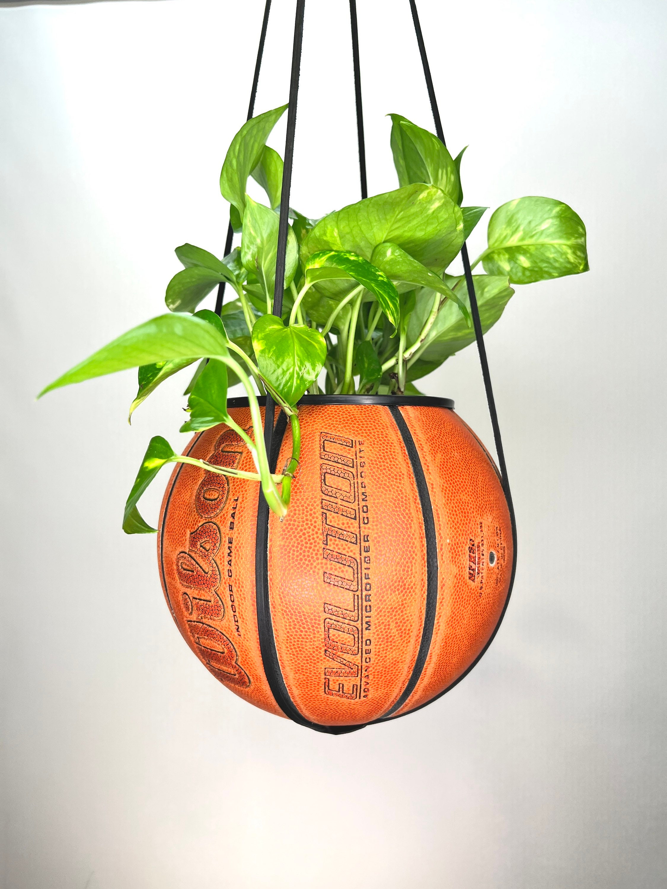 Wilson Evolution Basketball Planter by Plantsketball