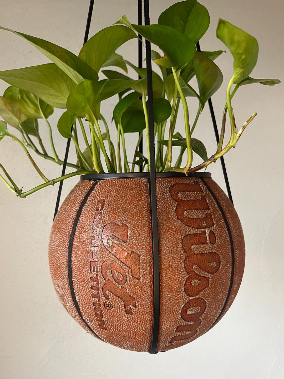 Wilson Jet Plantsketball - Etsy