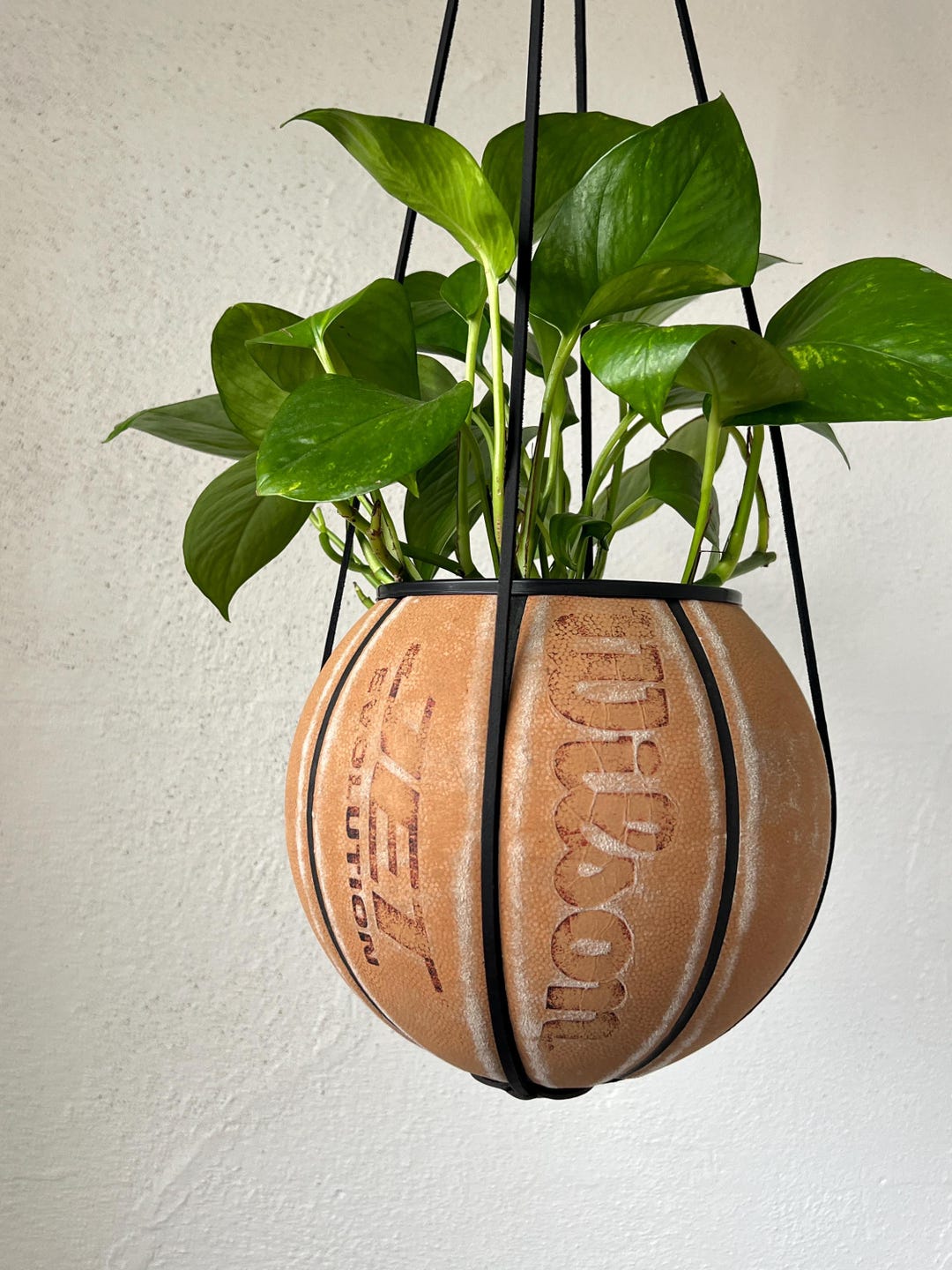 Wilson Jet Plantsketball - Etsy