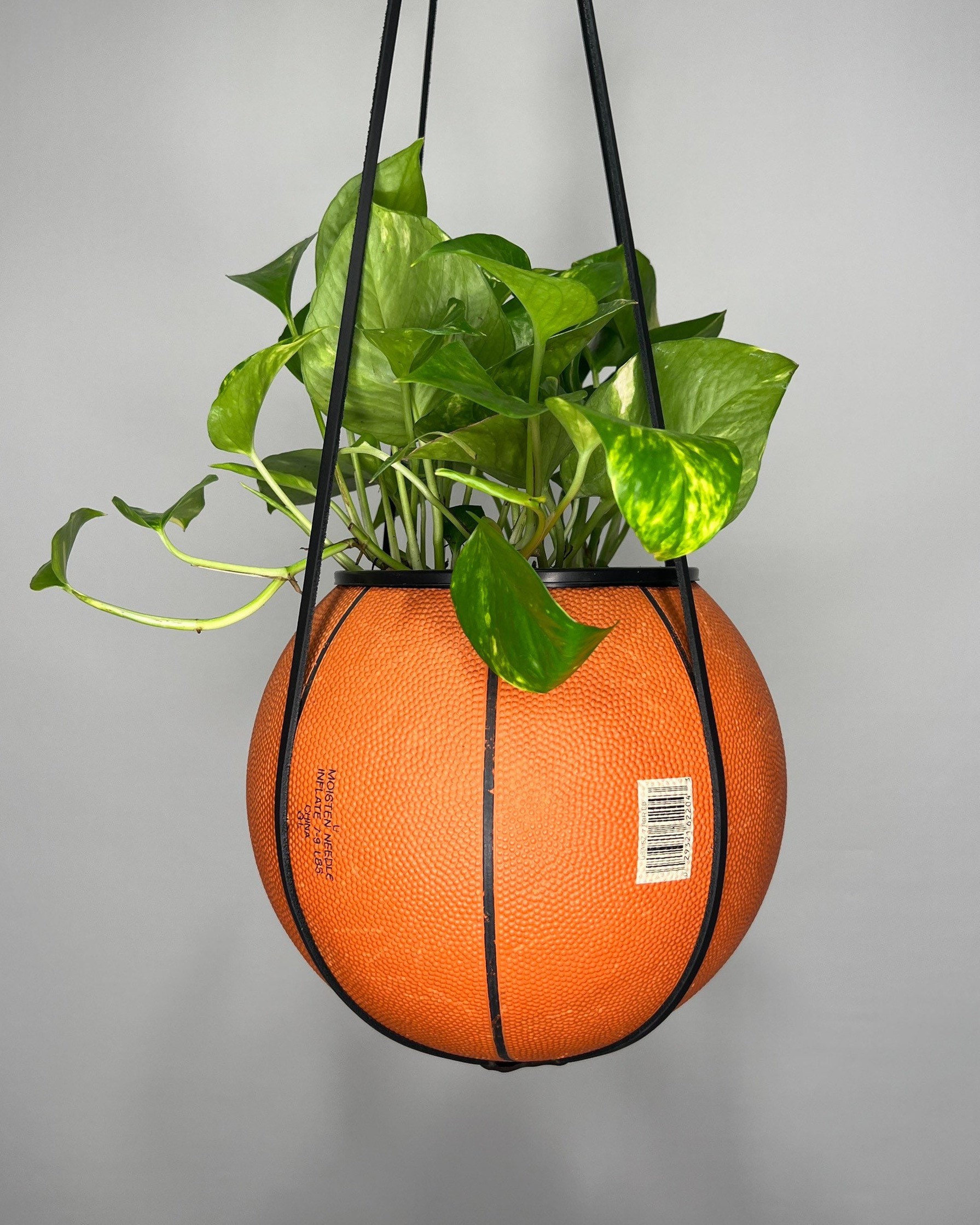 Dream Team Basketball Planter by Plantsketball