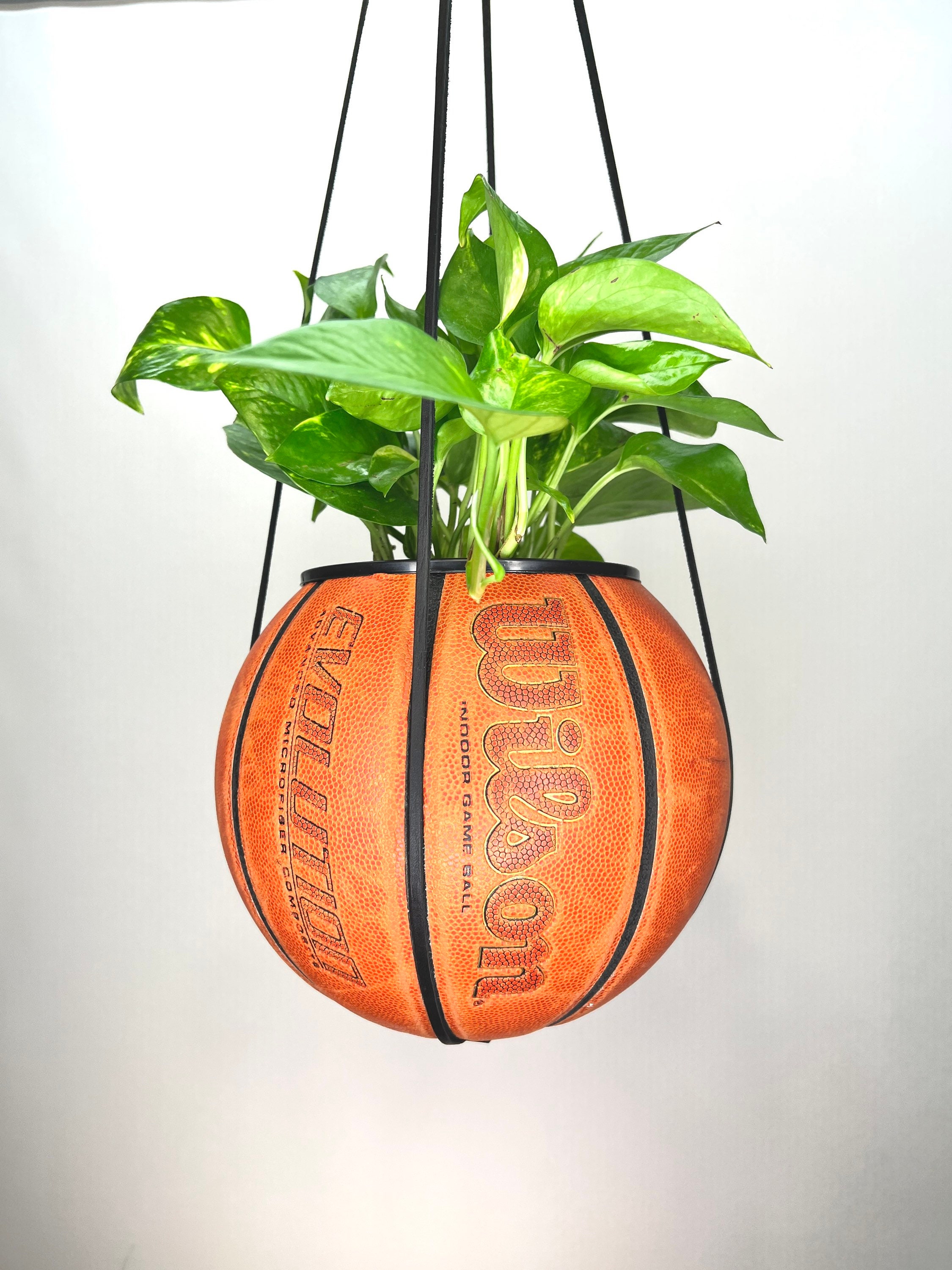 Wilson Evolution Basketball Planter by Plantsketball