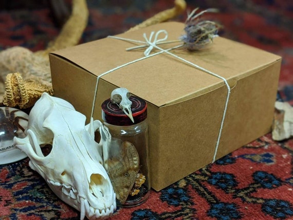 Home Décor Natural Crystals MYSTERY Skull Head with Faces Box Home ...