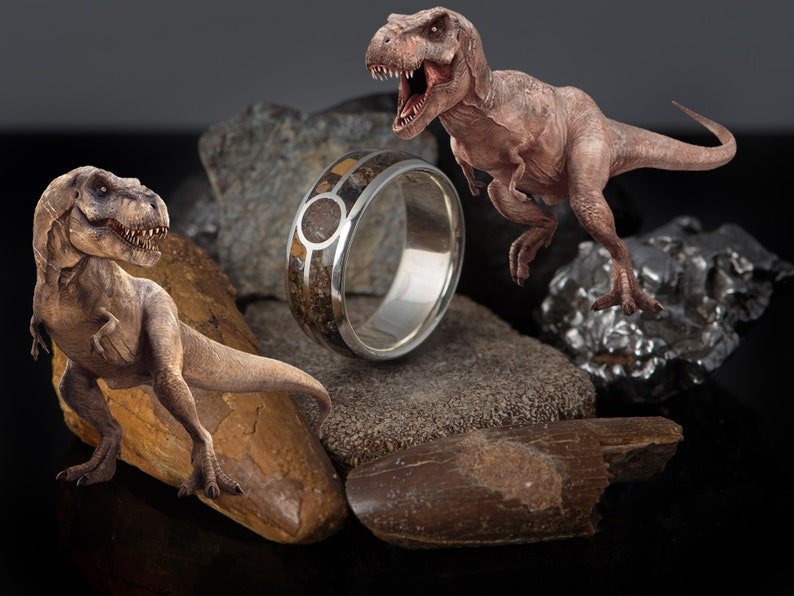 Meteorite Dinosaur Bone Ring Tyrannosaurus Rex Ring Fossil - Etsy