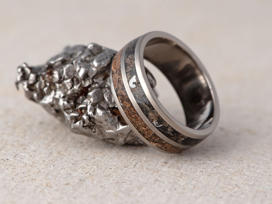 T-rex Titanium Meteorite & Dinosaur Bone Ring, Triceratops Megalodone ...