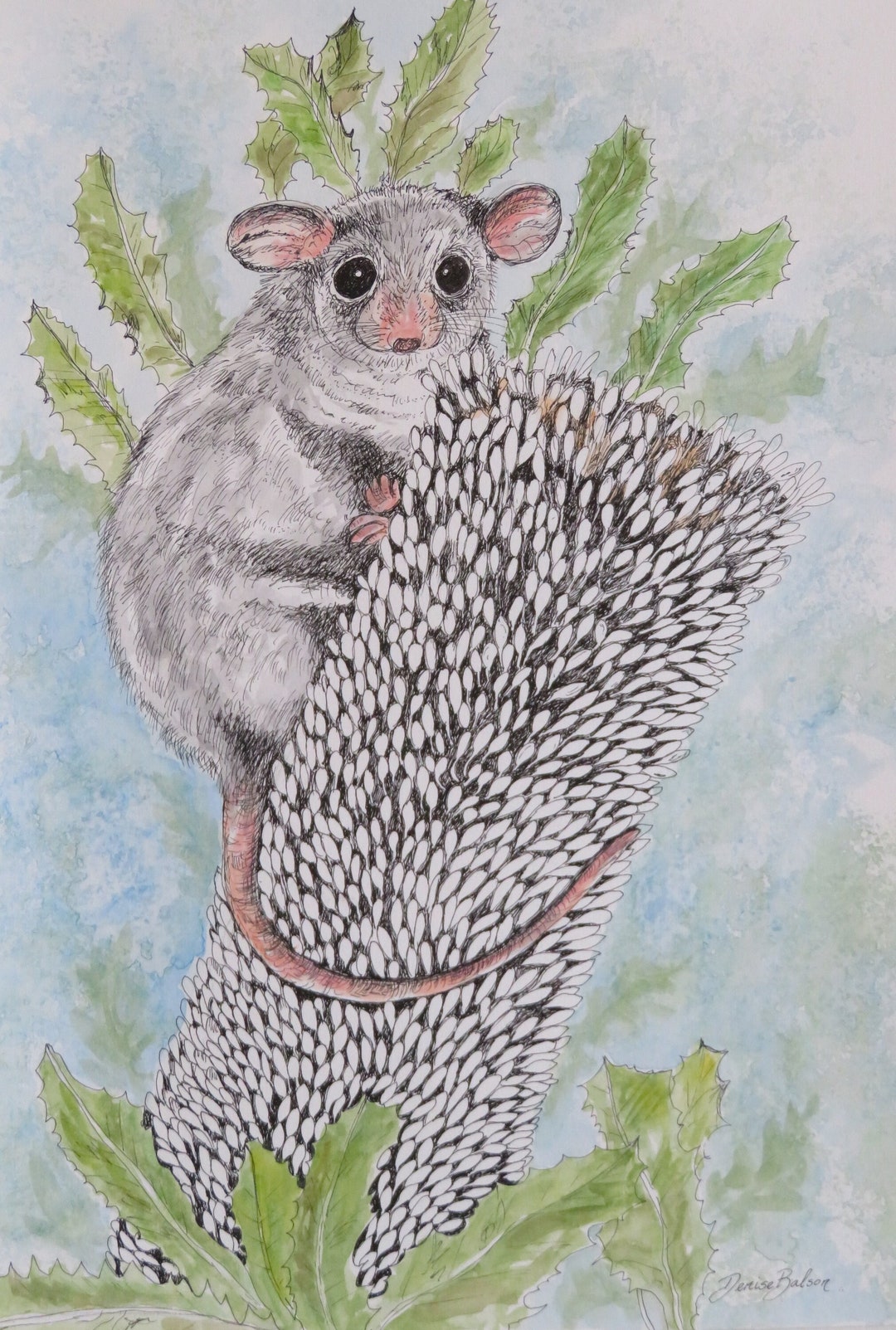 Ink and Watercolour 'pygmy Possum' Original Drawing - Etsy