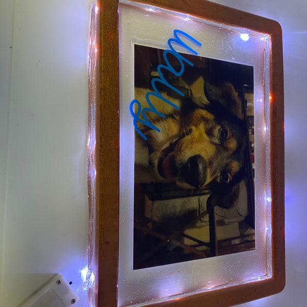 Dog Memory Shadow Box Svg - Etsy