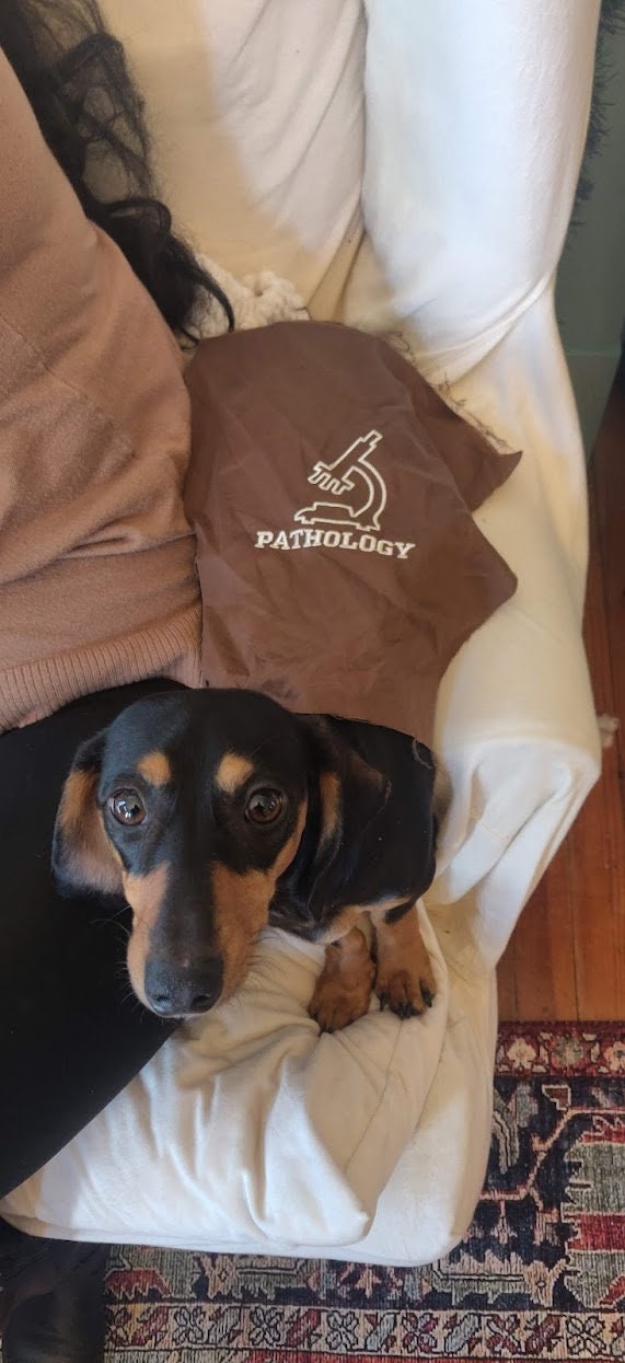 Microscope, Pathology, Laboratory Embroidery Design (COL, CSD, DST, Emd ...