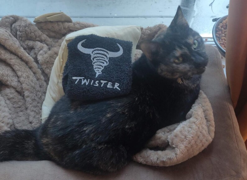 Twister / Twisters Tornado Wrangler Embroidery Design. Additional ...