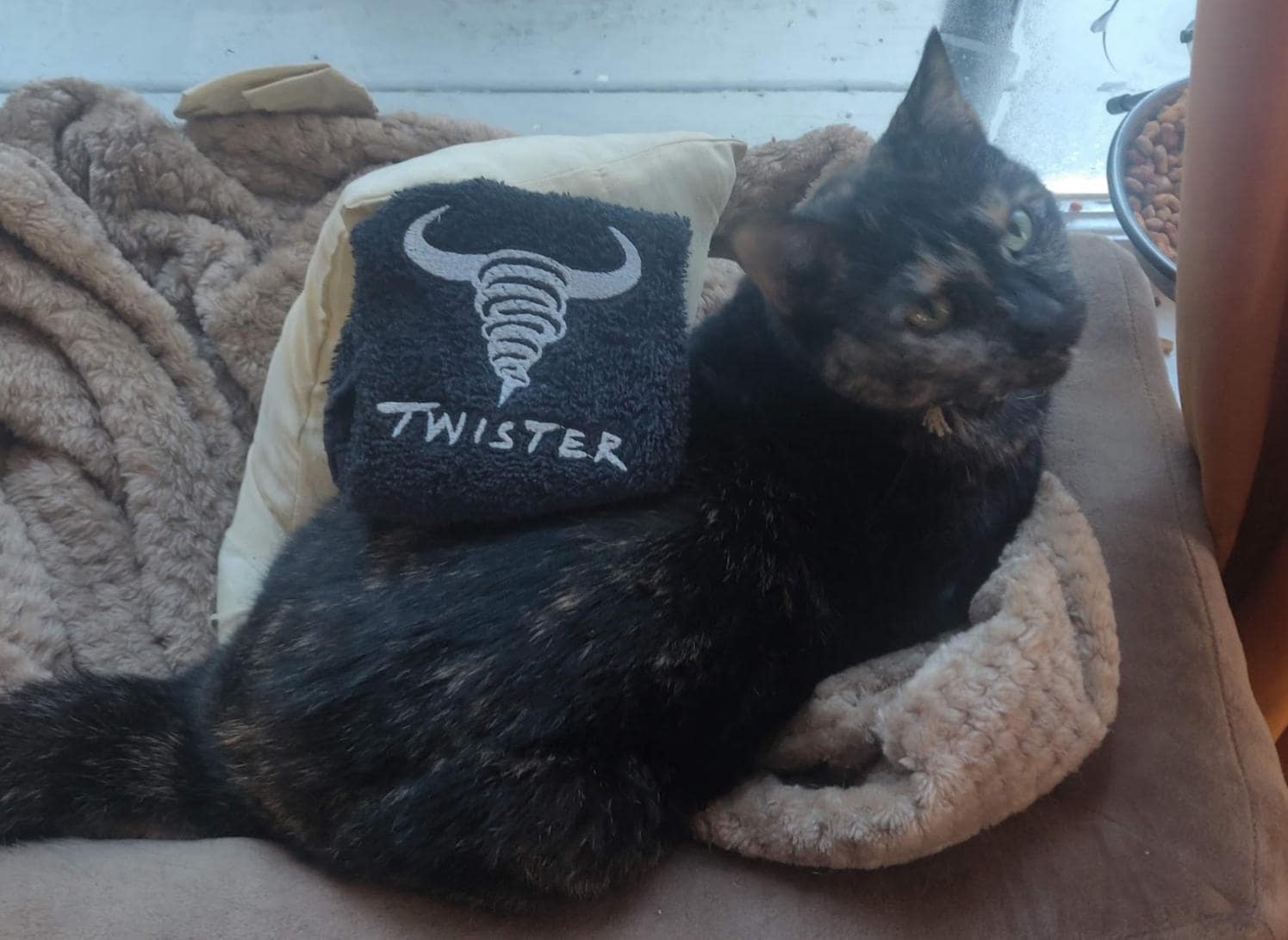 Twister / Twisters Tornado Wrangler Embroidery Design. Additional ...