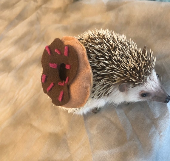 Hedgehogs In Costumes