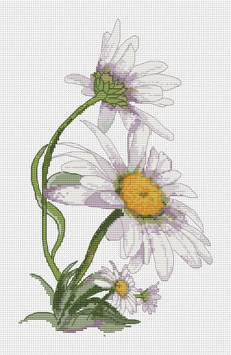 Daisies #2 Cross Stitch Pattern Garden Pdf Pattern Plants Sweet Cross ...