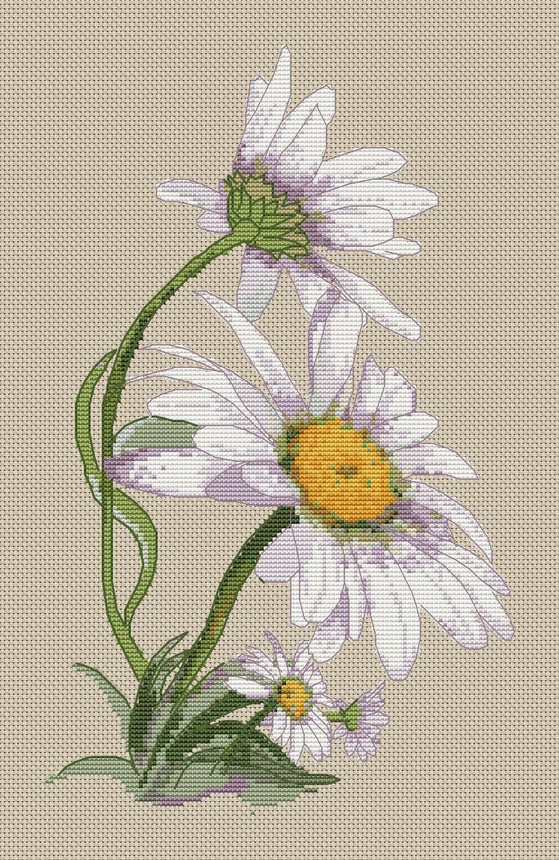 Daisies #2 Cross Stitch Pattern Garden Pdf Pattern Plants Sweet Cross ...