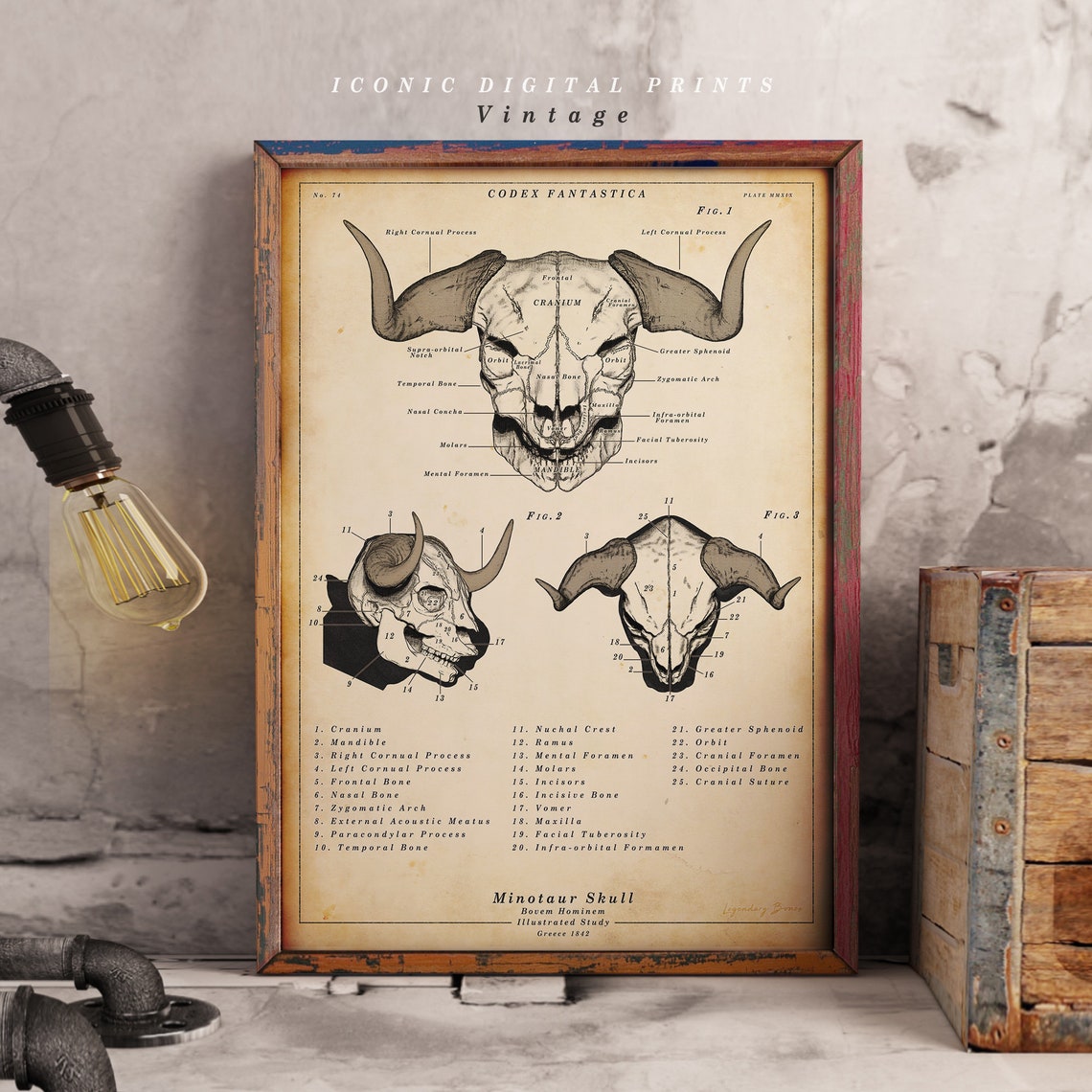 Minotaur Skull Print Scientific Wall Art Vintage Digital Download - Etsy