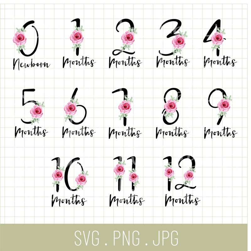 Baby Monthly Milestone Svg - Etsy