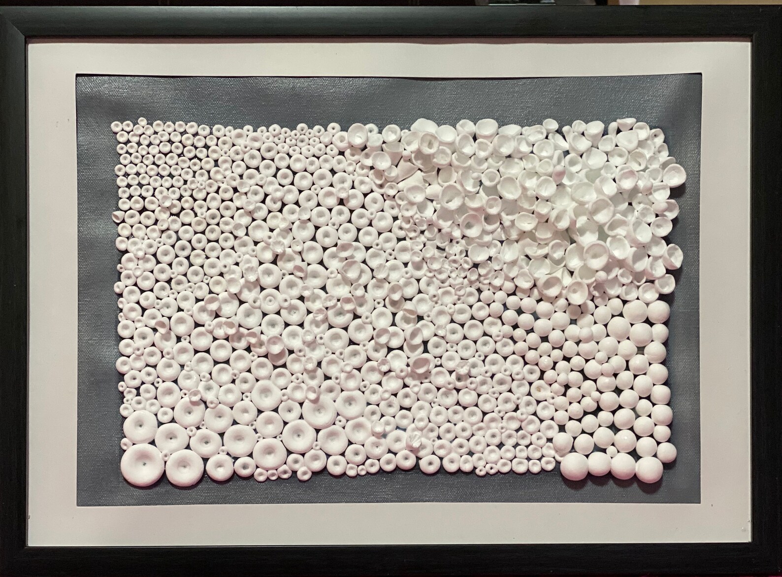 Coral Decor Wall Art reef shell sea coral 3d clay wall art | Etsy