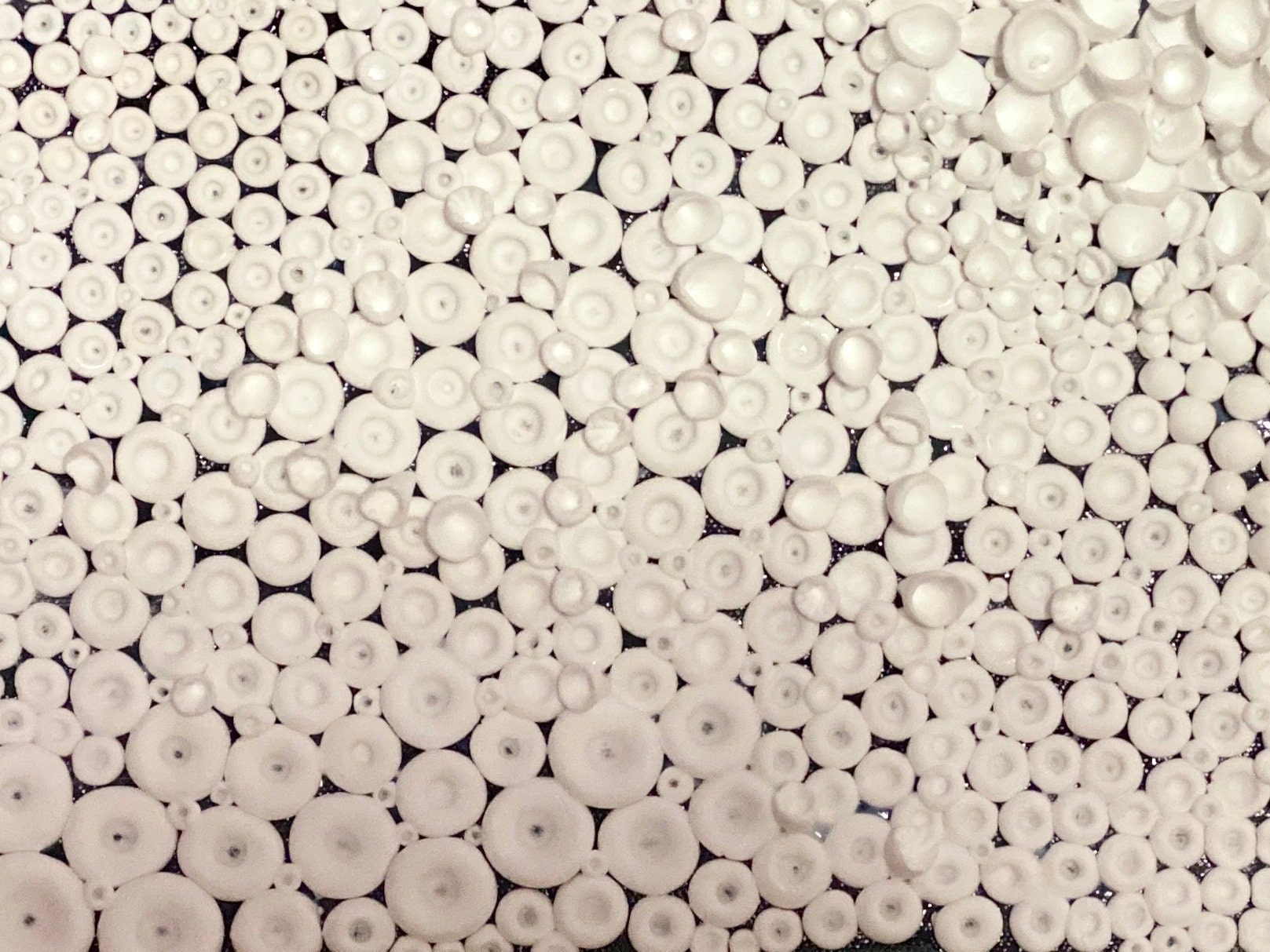 Coral Decor Wall Art Reef Shell Sea Coral 3d Clay Wall Art | Etsy