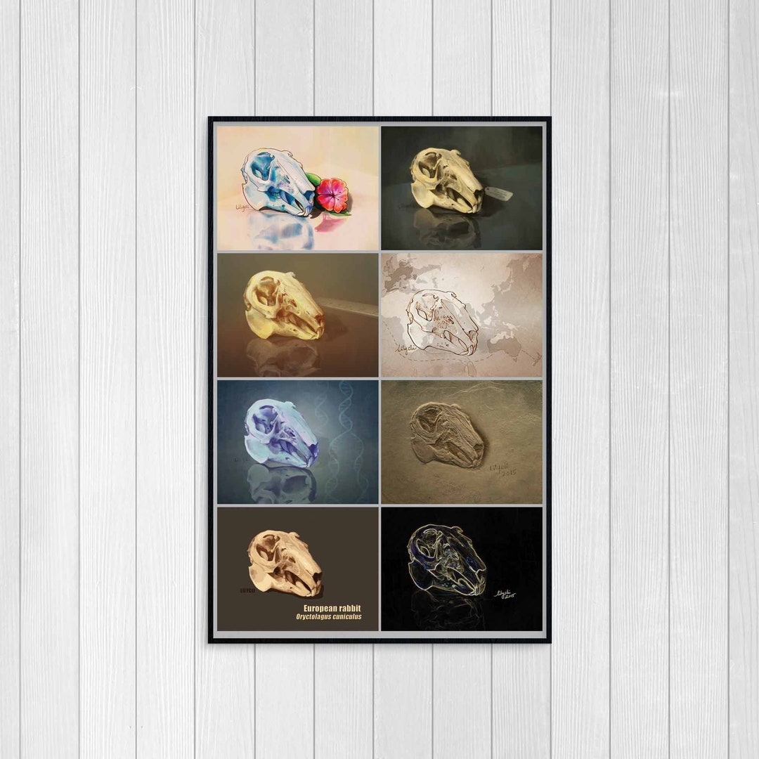 Rabbit Skulls Poster, Bohemian Wall Art Decor - Etsy