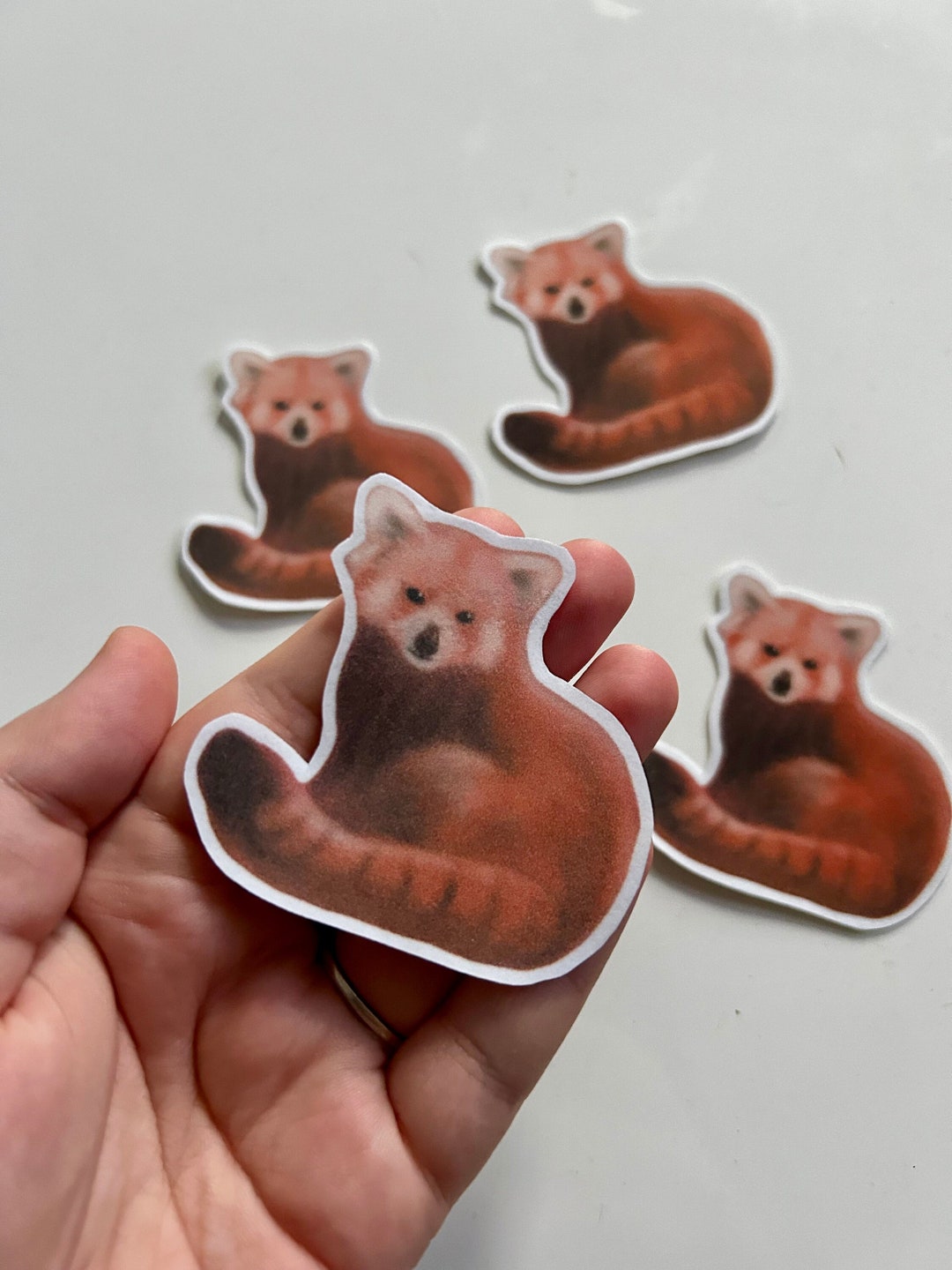 Ruby the Red Panda Sticker - Etsy