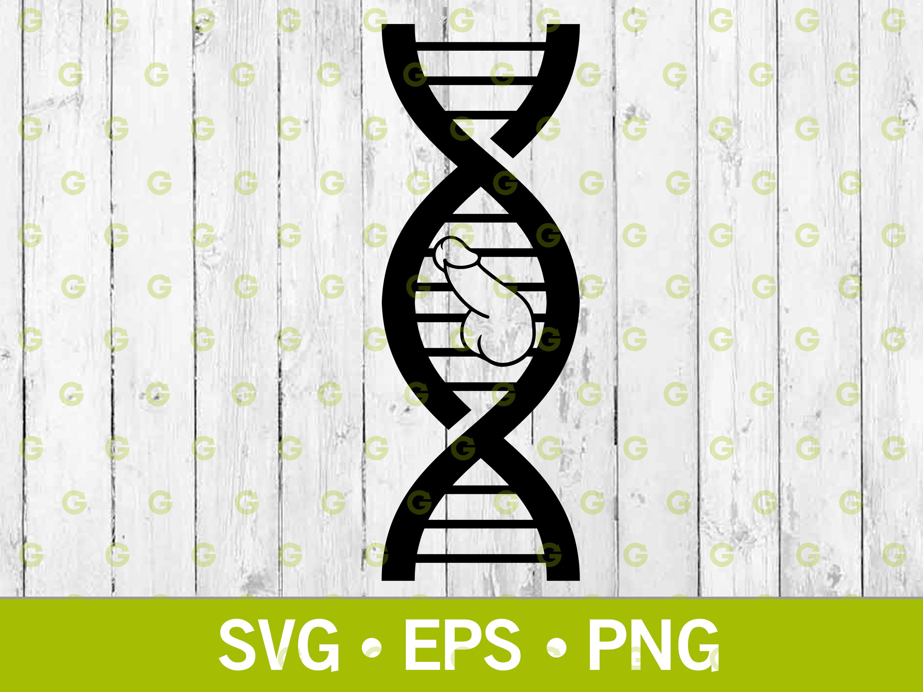 Penis DNA Strand SVG DNA Svg Erotic Art Svg Dick Svg Sex - Etsy Canada