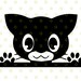 Peek A Boo Cat SVG, Cat SVG, Kitten SVG, Kitty Svg, Animal Svg, Pet Svg ...