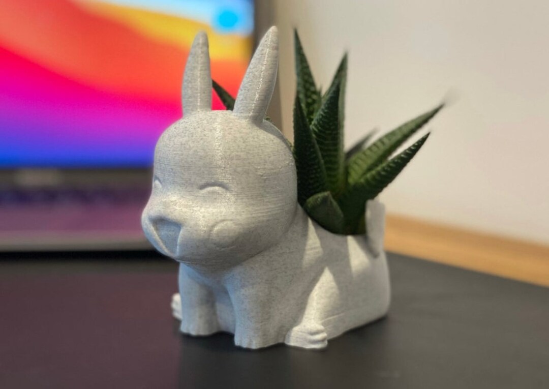 Pikachu Planter, Pokemon Planter, Succulent, 3D Printing - Etsy