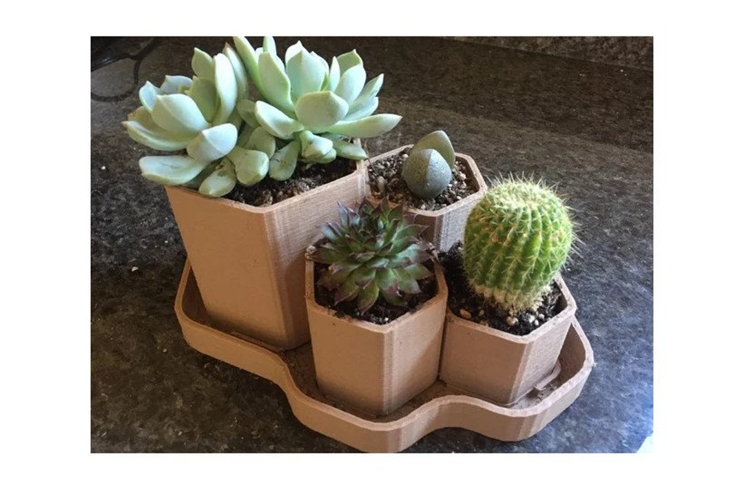Multi Pot Hex Planter Succulent Cactus 3D Print - Etsy