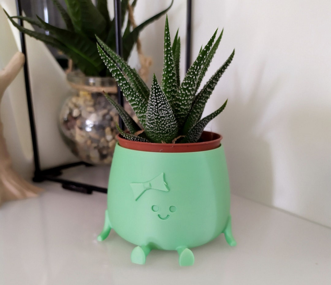 Happy Plant Pot, Happy Face Girl Planter, 3D Printing - Etsy
