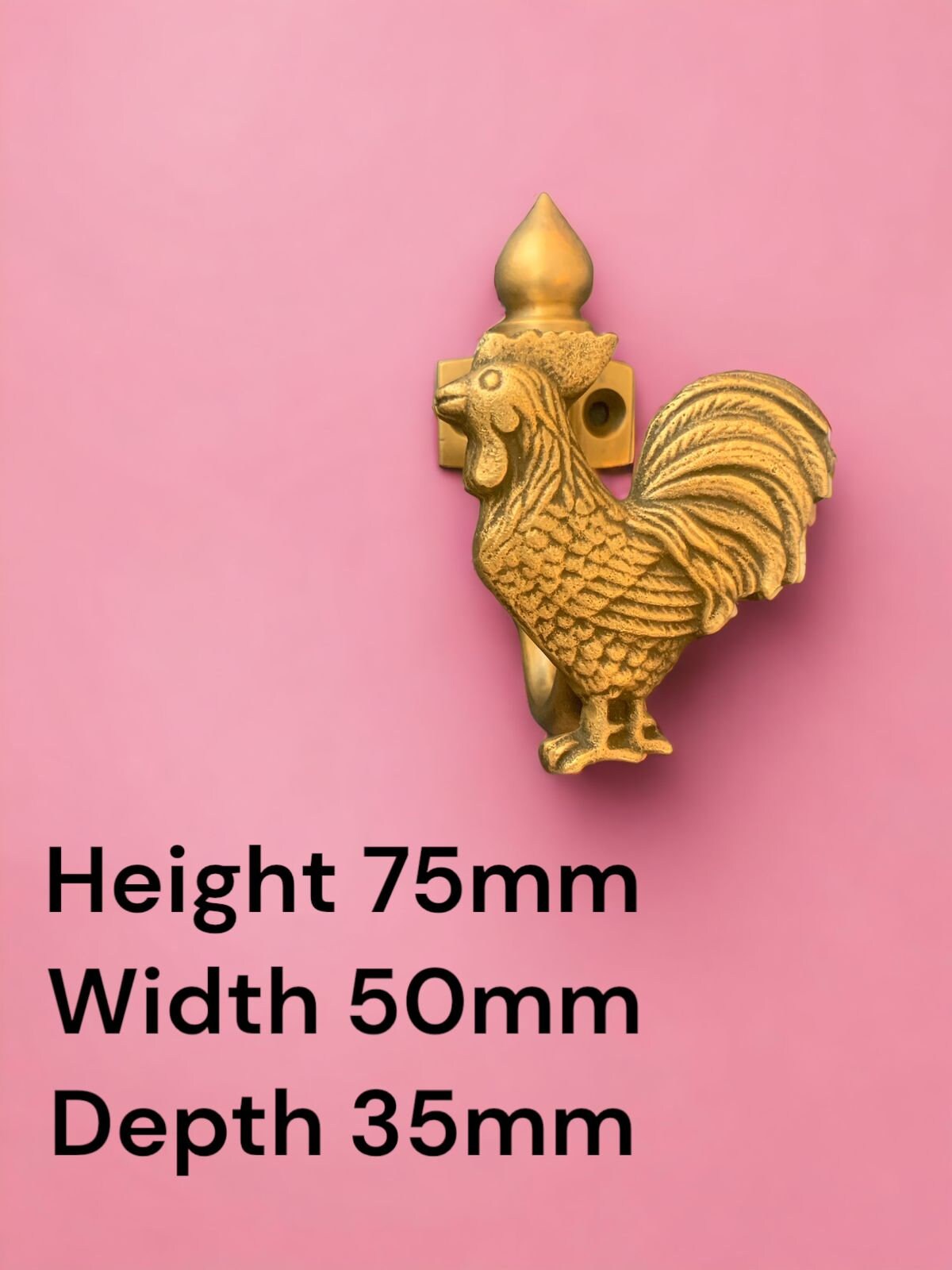 Chicken Brass Wall and Coat Hooks. Perfect for Bathroom Towels, Robe ...