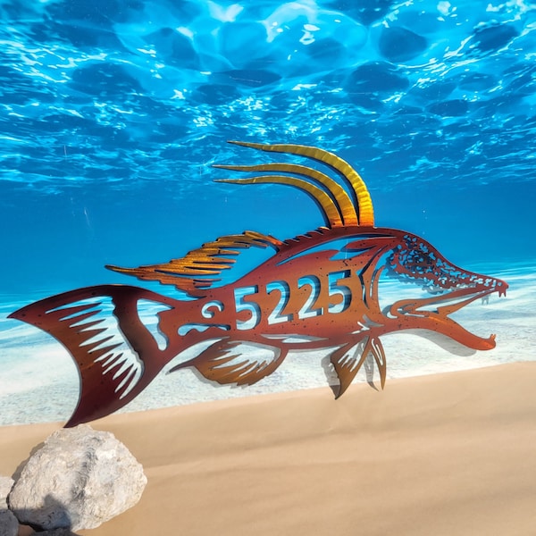 Hogfish - Etsy
