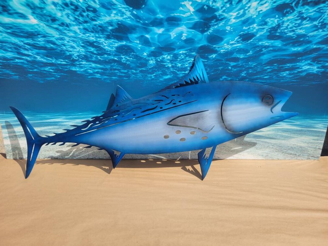 Little Tunny, Also Known as the False Albacore, Little Tuna, Bonita ...