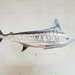 Mahi Mahi Dolphin Dorado Fish House Numbers Monogram Fish Metal Wall ...