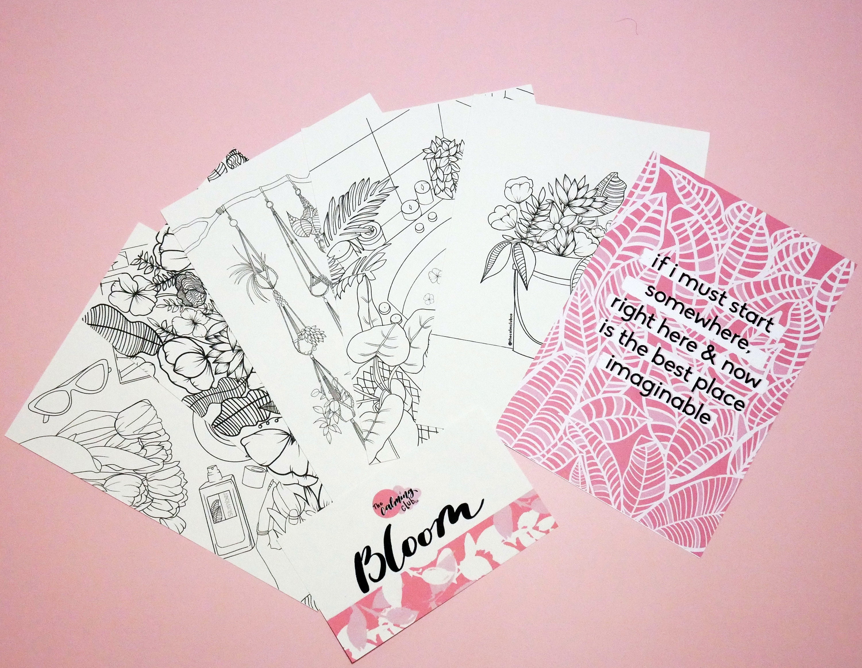 The Complete Adult Colouring Page Set, 20 Page Colouring Book, Eco ...