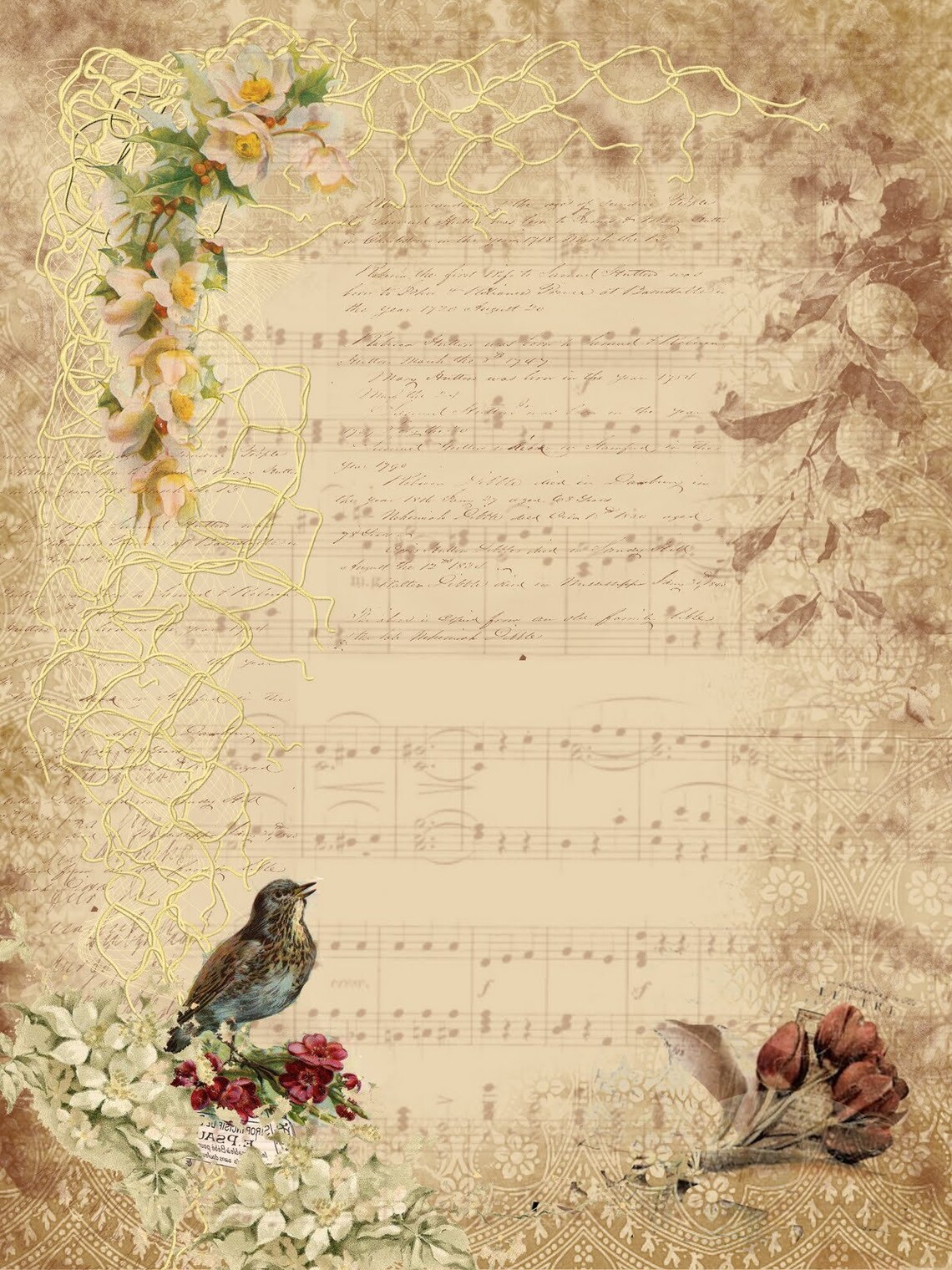 Vintage Bird Background Printable 10 Images - Etsy