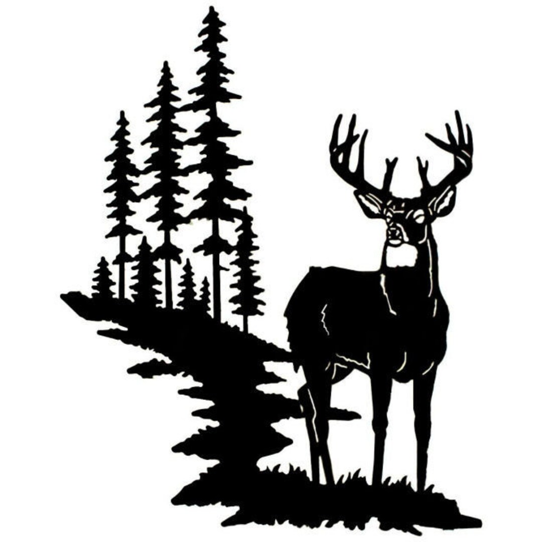 Buck Standing on a Forest Trail - Etsy
