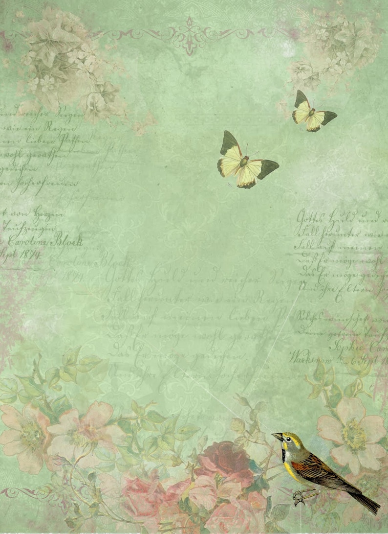 Vintage Bird Background Printable 10 Images - Etsy