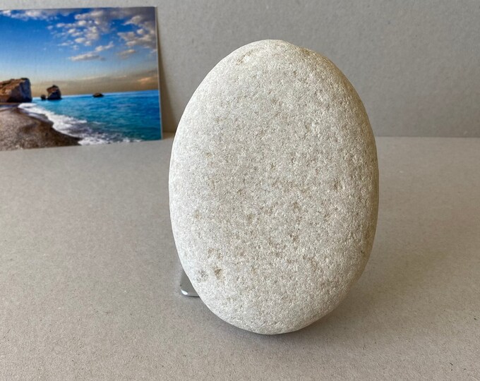 10,5-14cm Natural Sea White Stone Oval Shaped - Sea Stone for Craft ...