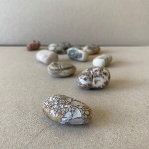 Mixed Bag of 17 Small Beach Pebbles Picked Near Aphrodite Stone (petra ...