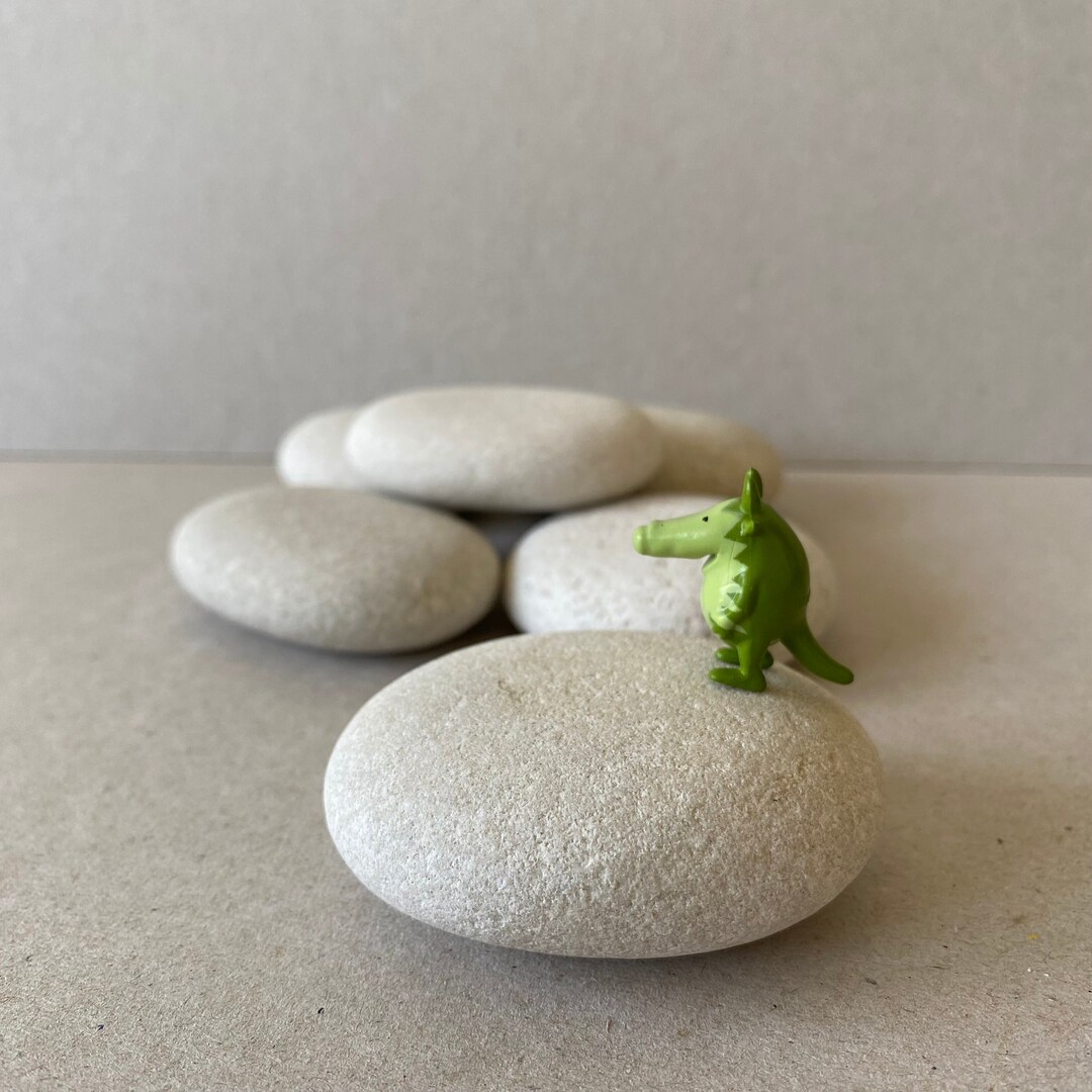 5x7cm White Sea Stones Oval Shaped - 6 Small Sea Rocks for Painting - Etsy