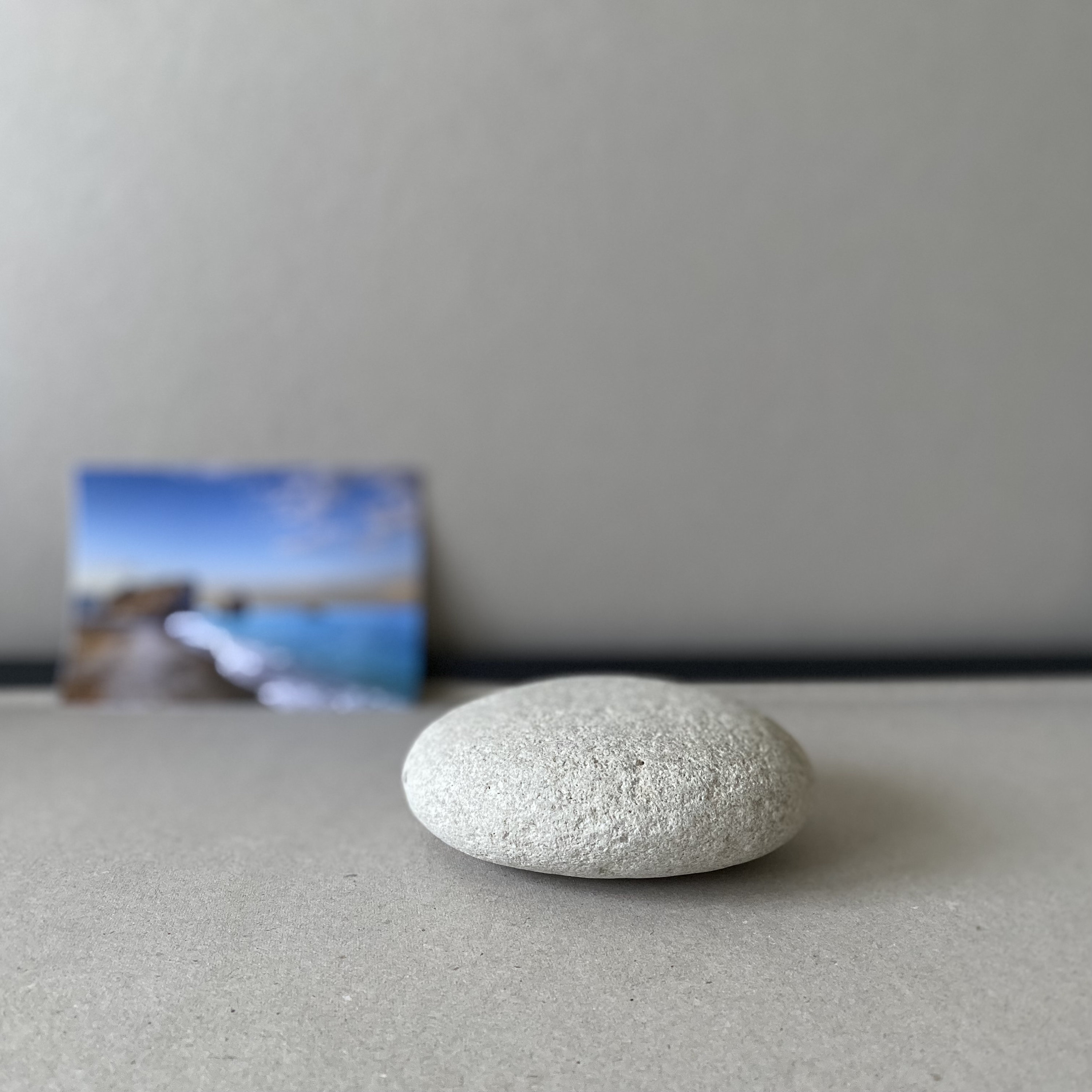 Floral & Garden Crafts Home & Hobby Sea Stone for Craft 12,0cm Unusual ...