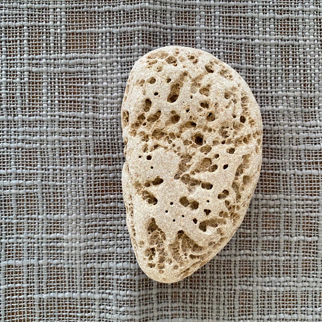 Beige Porous Elongated Sea Stone - Unique Sea Stone From Cyprus - Etsy