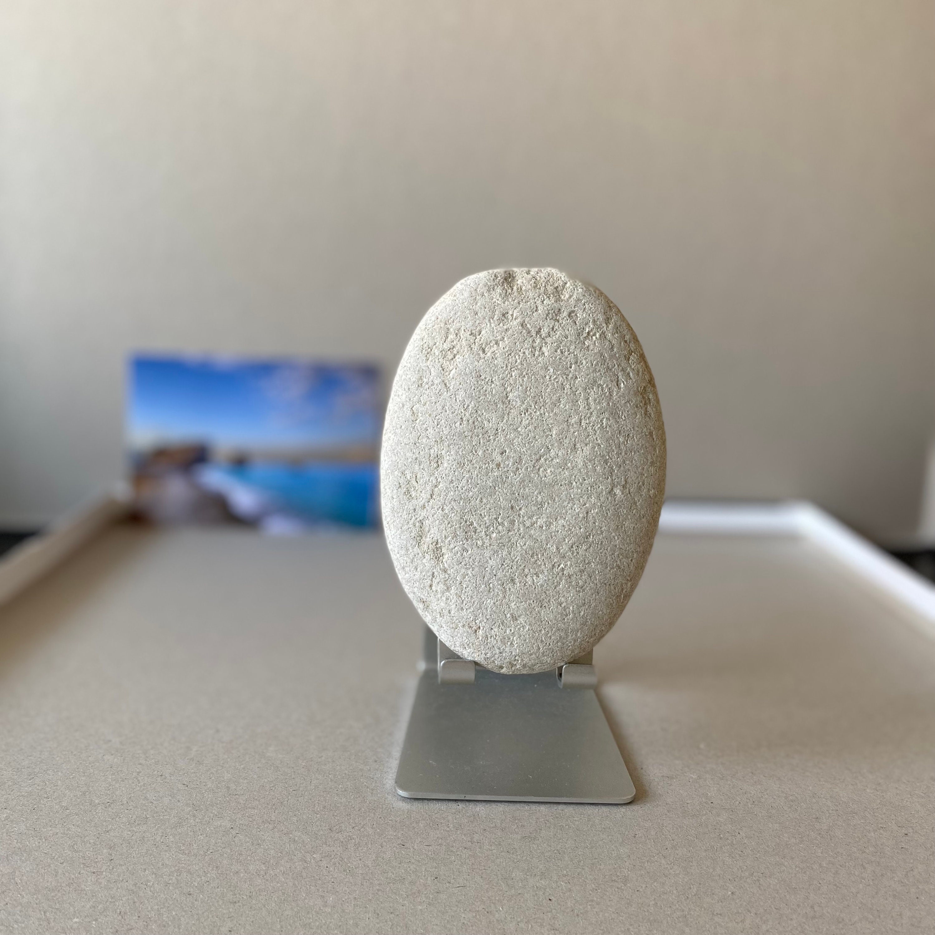 10-13cm Oval White Sea Stone for Painting Big Stone for Craft Mandala ...