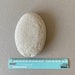 10-13cm Oval White Sea Stone for Painting Big Stone for Craft Mandala ...