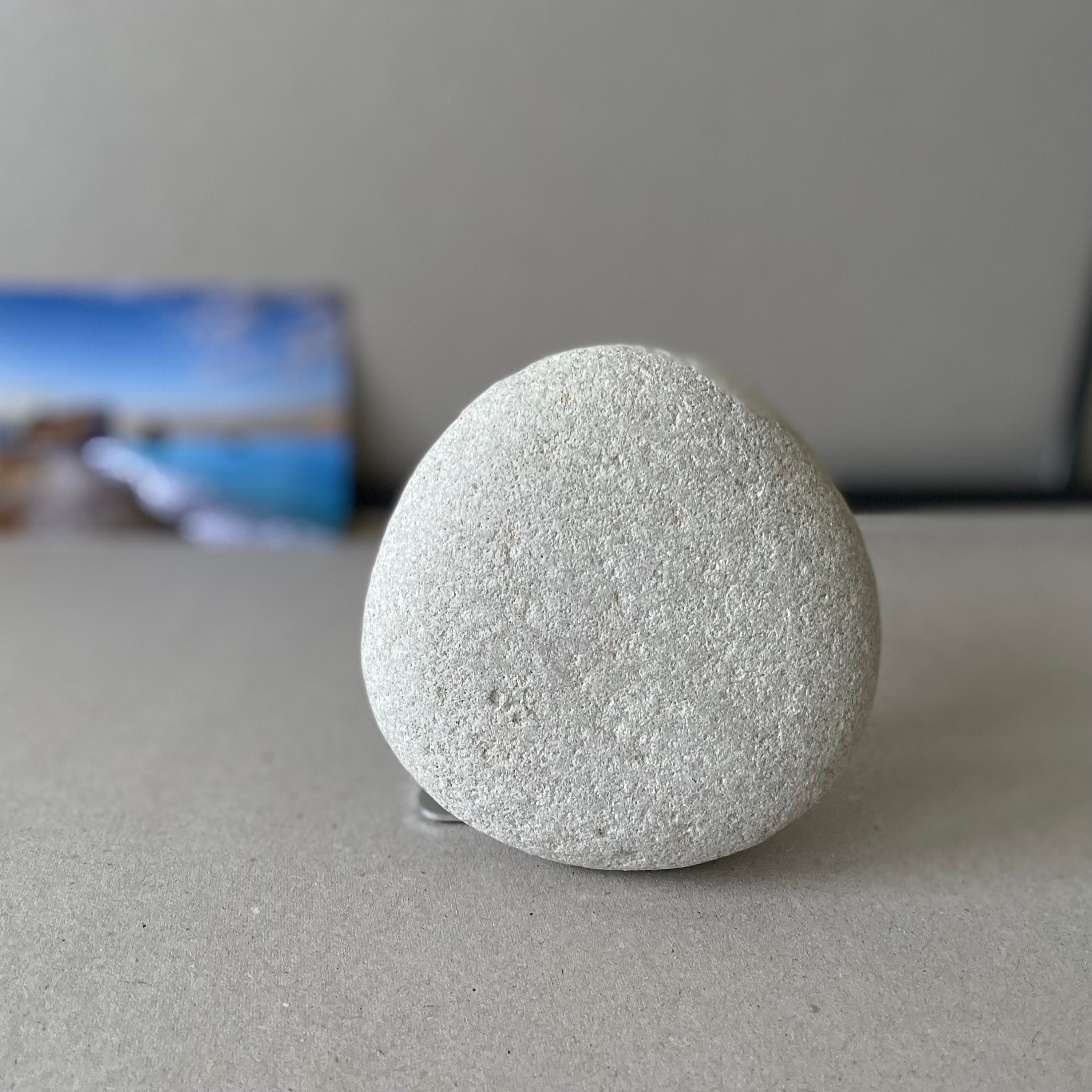 Floral & Garden Crafts Home & Hobby Sea Stone for Craft 12,0cm Unusual ...