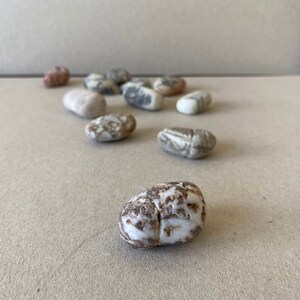 Mixed Bag of 17 Small Beach Pebbles Picked Near Aphrodite Stone (petra ...