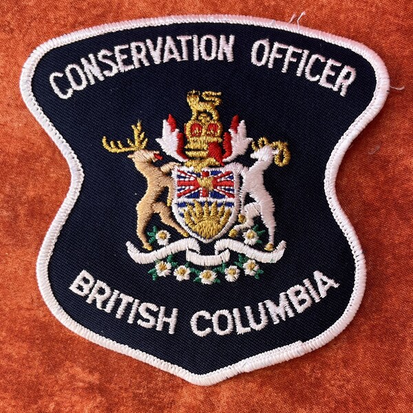 Vintage Game Warden Patch - Etsy