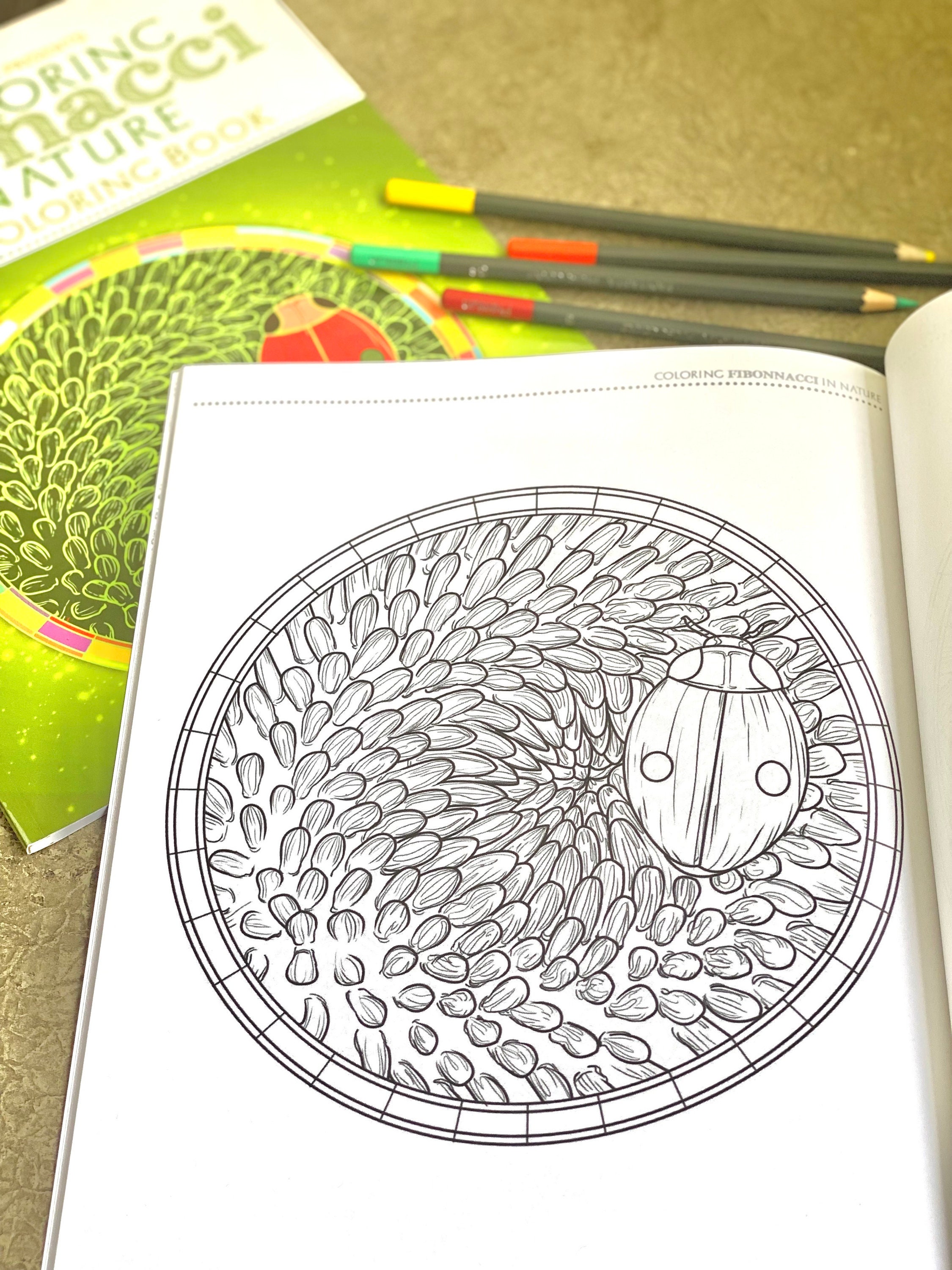 Coloring Fibonacci in Nature Coloring Book Nature & Plants Fibonacci ...