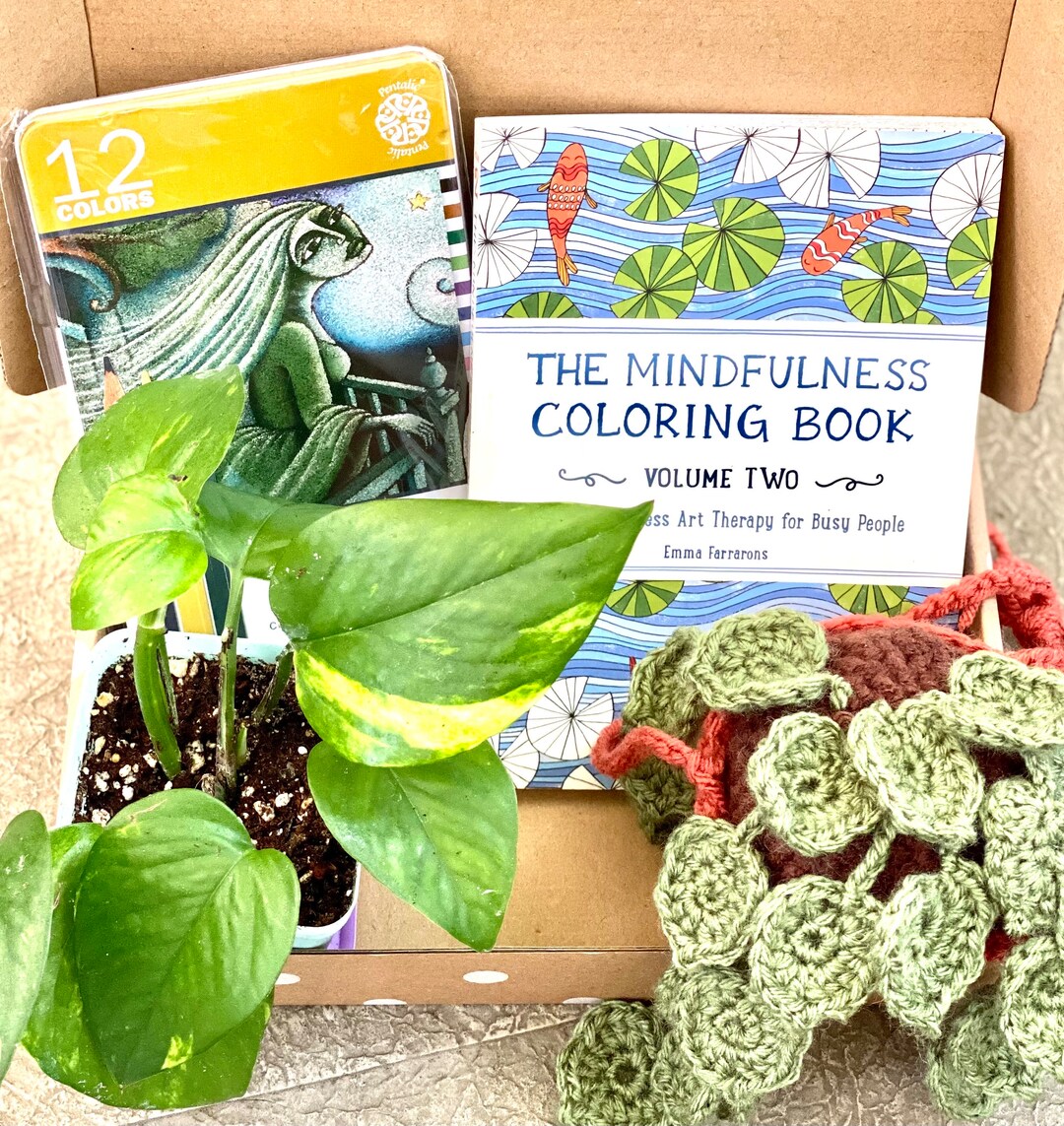 Gift Box Houseplant Gift Box Gift for Her/him/them Care Package Plant ...