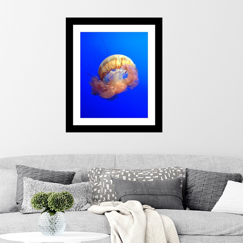 Life Aquatic Art - Etsy