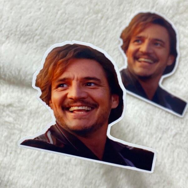 Pedro Pascal Meme Stickers - Etsy