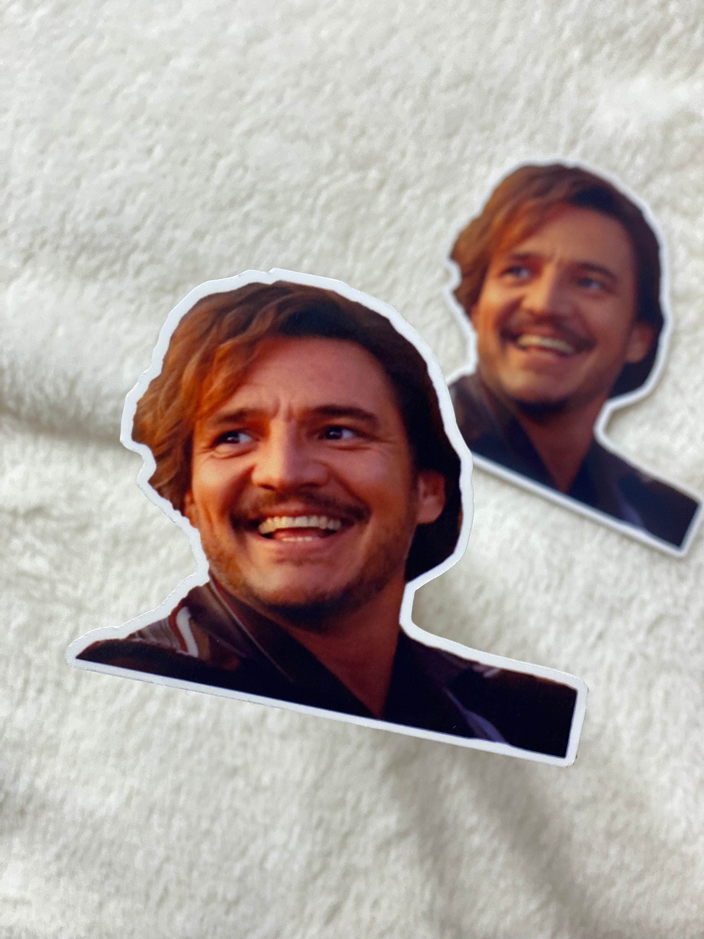 Pedro Pascal Meme Pedro Pascal Meme Stickers Gift for Pedro Pascal Fan ...